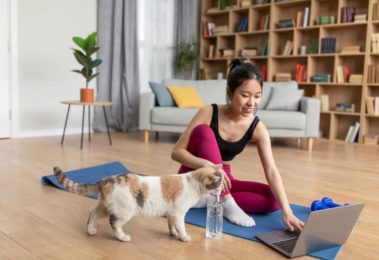 How to Communicate with Cats Telepathically: 10 Ways