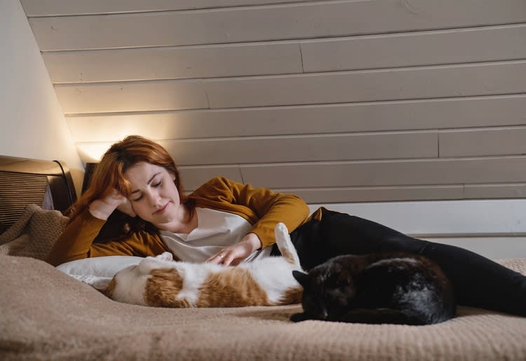 How to Communicate with Cats Telepathically: 10 Ways