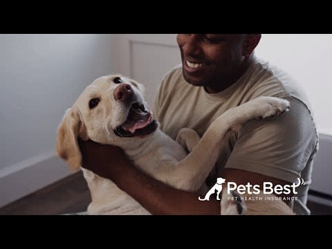 Pets Best Review 2022 | BestMoney.com